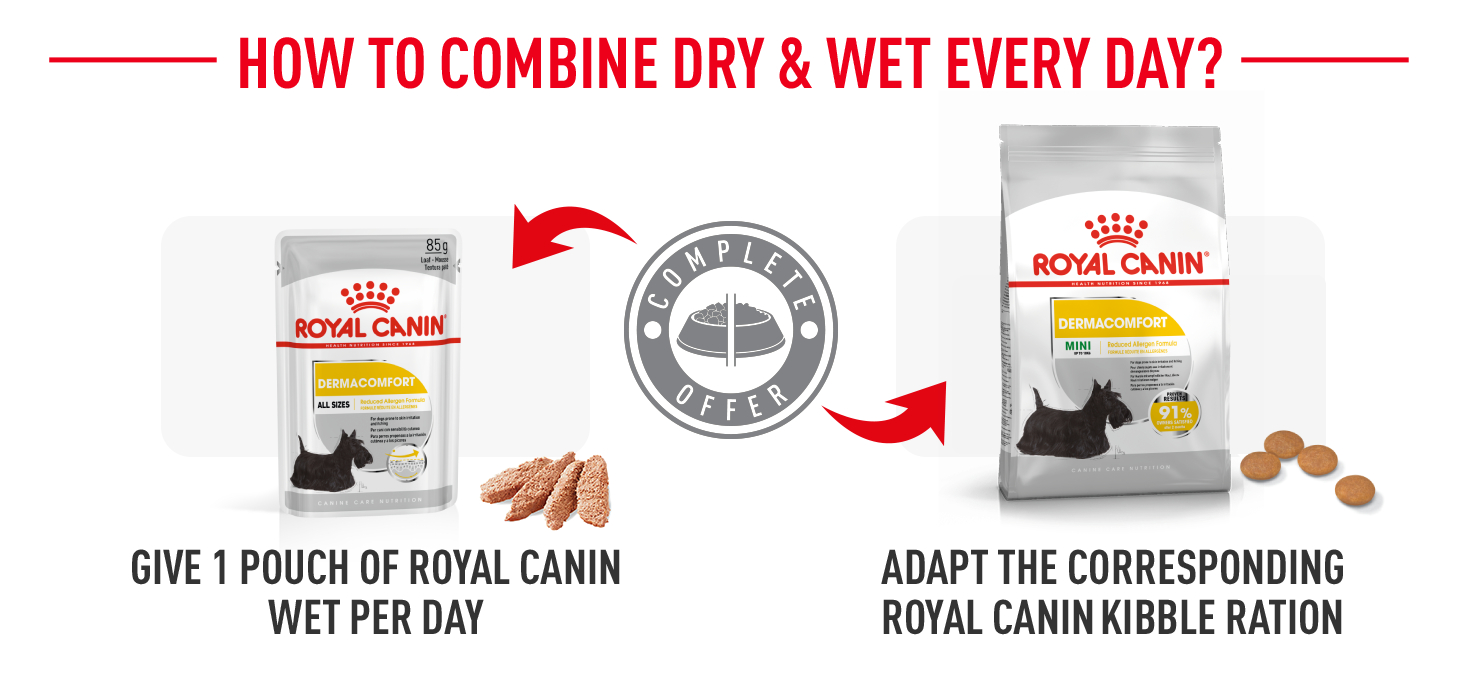 Royal Canin Mini Dermacomfort 3kg Adult Dry Dog Food Canine Care ...