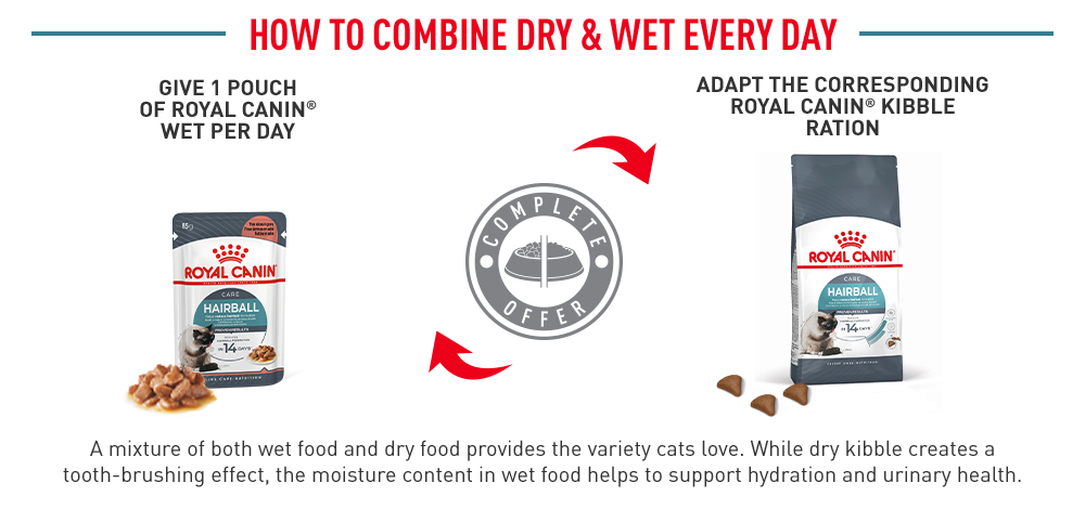 Royal Canin Hairball Care 10kg Adult Dry Cat Food (FREE 1 RC HAIRBALL ...