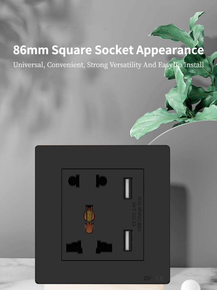 OPPLE 2 Pin + 1 Gang Universal with 2.4A Double USB Port Outlet Set ...