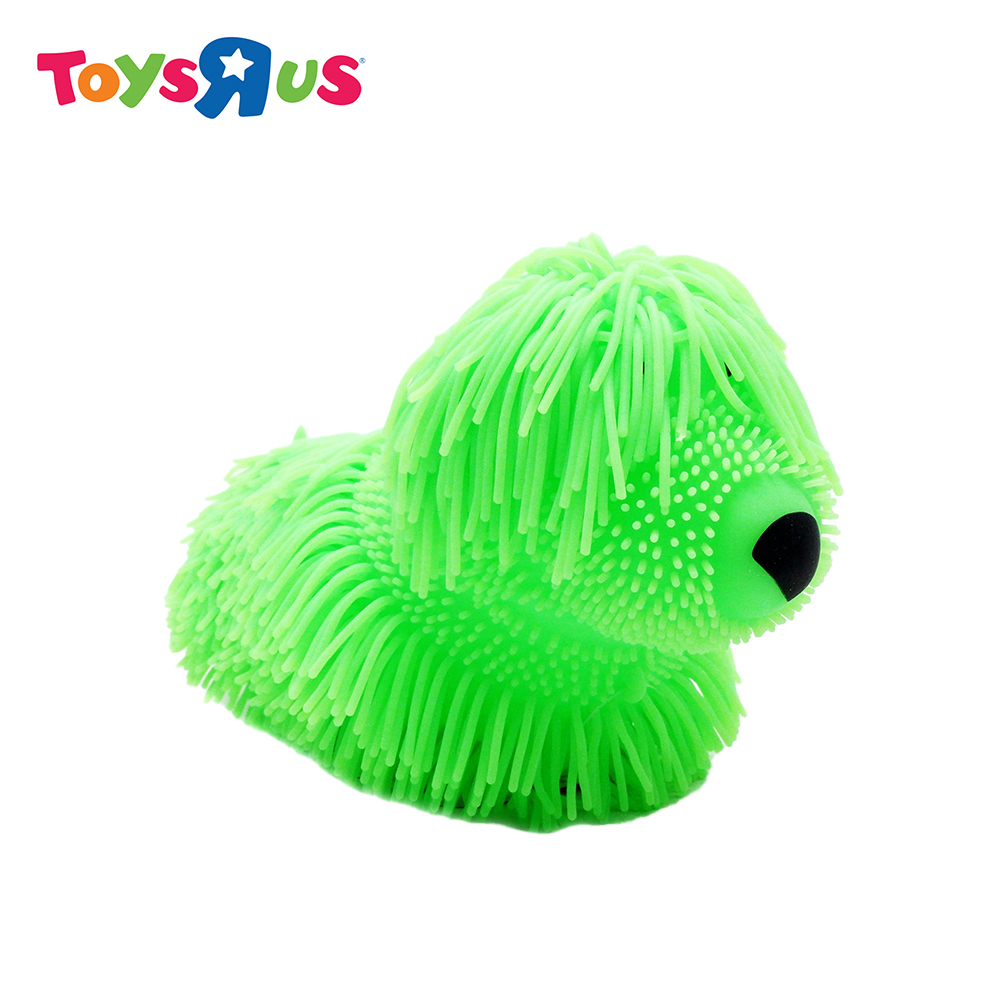 ORB Curiosities Wiggly Dog Jumbo - Green | Shopee Philippines