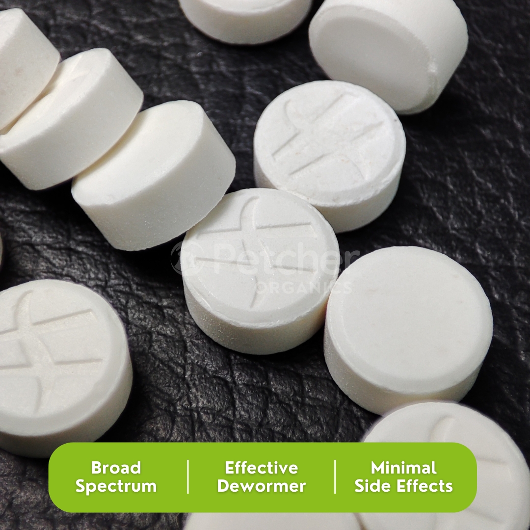 Petcher Organics Praziquantel Tablet 1pc for Dogs and Cats – Worm ...