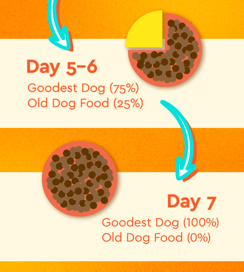 GOODEST Adult Dog Dry Food in Beef & Liver, 20kg. | Shopee Philippines