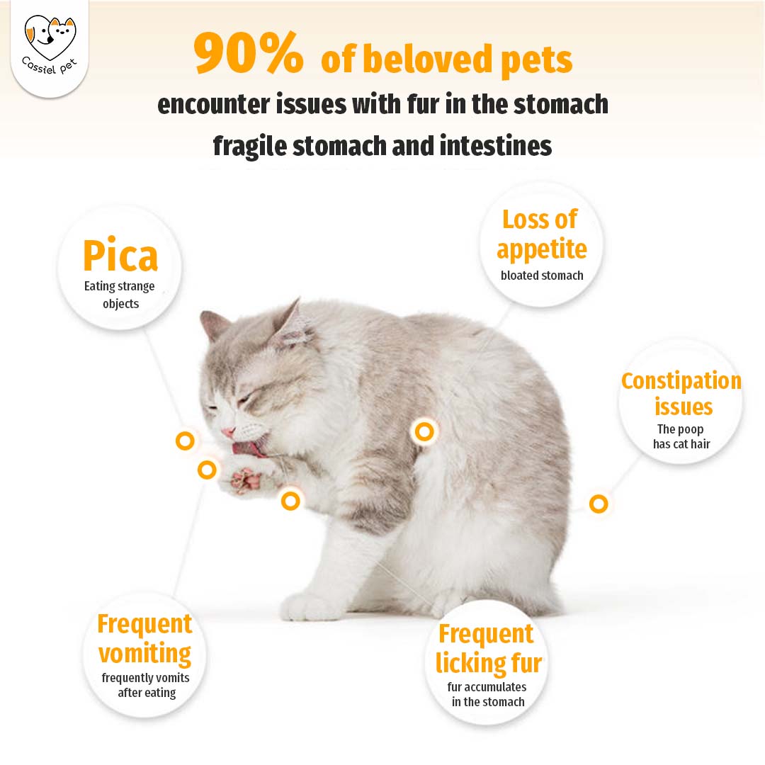 Cassiel Pet Nutri Plus Gel, Nutrich, Vitamins And Supplement For ...