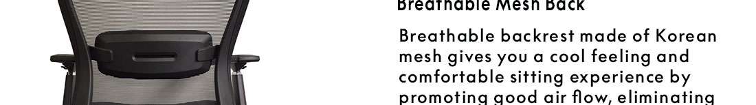 Aofeis PrimaChair MU Office Computer Chair Ergonomic Design Multi ...