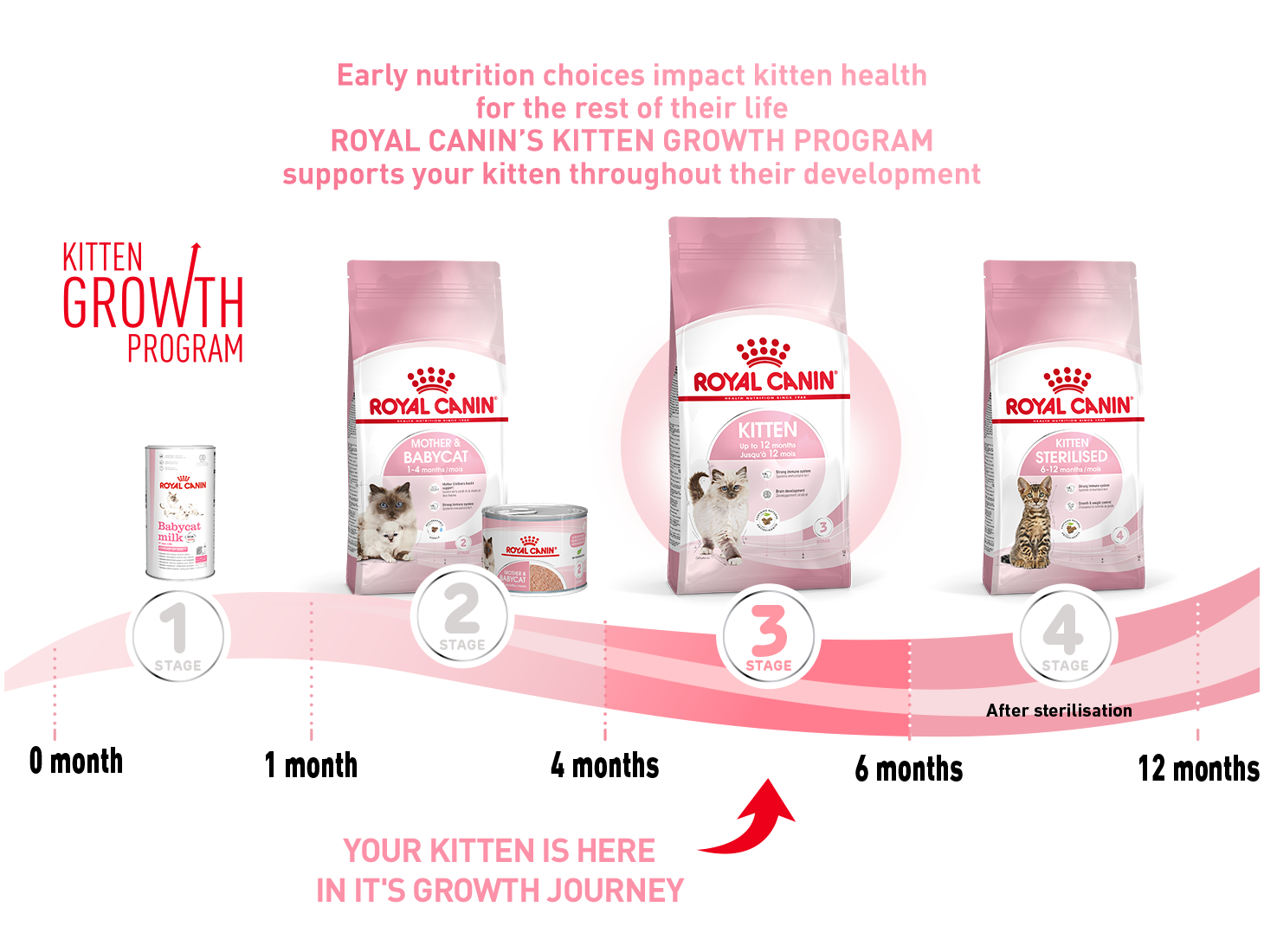 Royal Canin Kitten 36 Second Age 10kg (FREE 1 RC Kitten Instinctive 85g ...