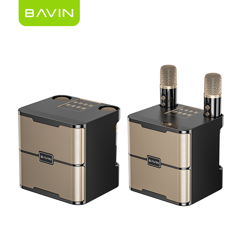 BAVIN BM22 Mini Amplifier Karaoke Bluetooth Wireless Speaker with Heavy ...
