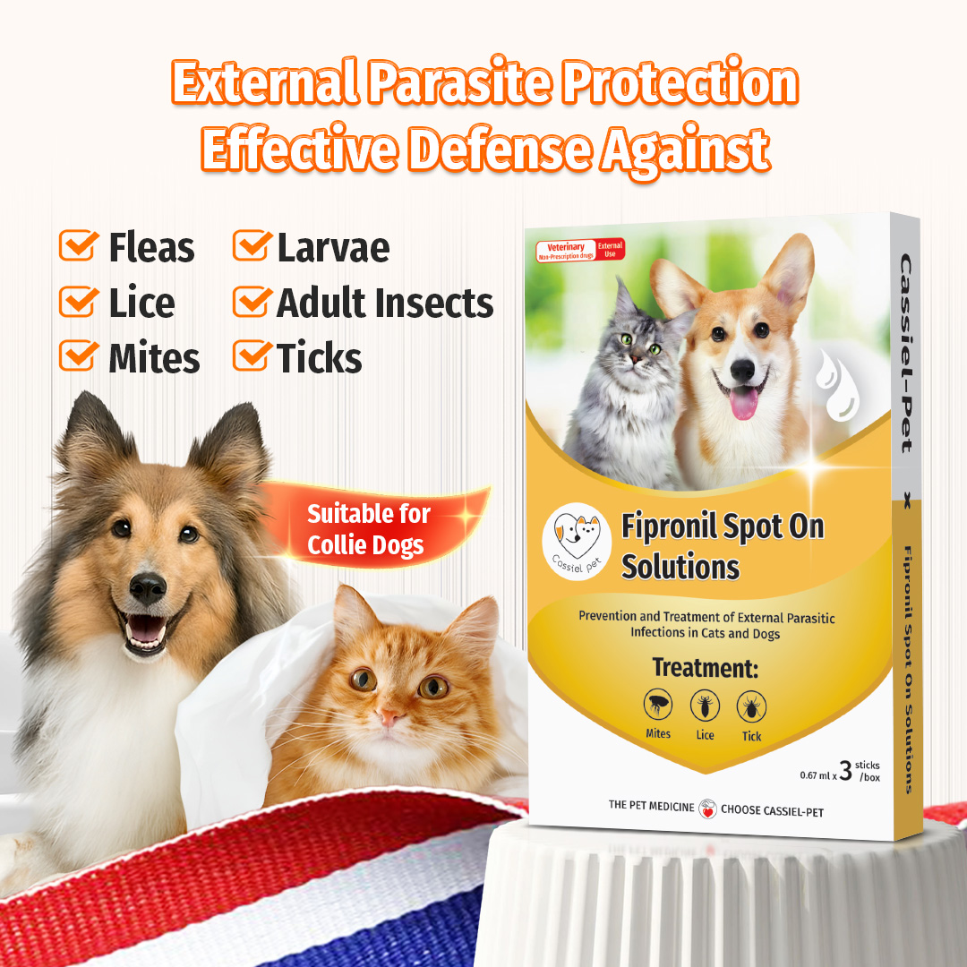 Cassiel Pet Fipronil Dewormer Anti Tick And Flea Spot Treatment Anti ...