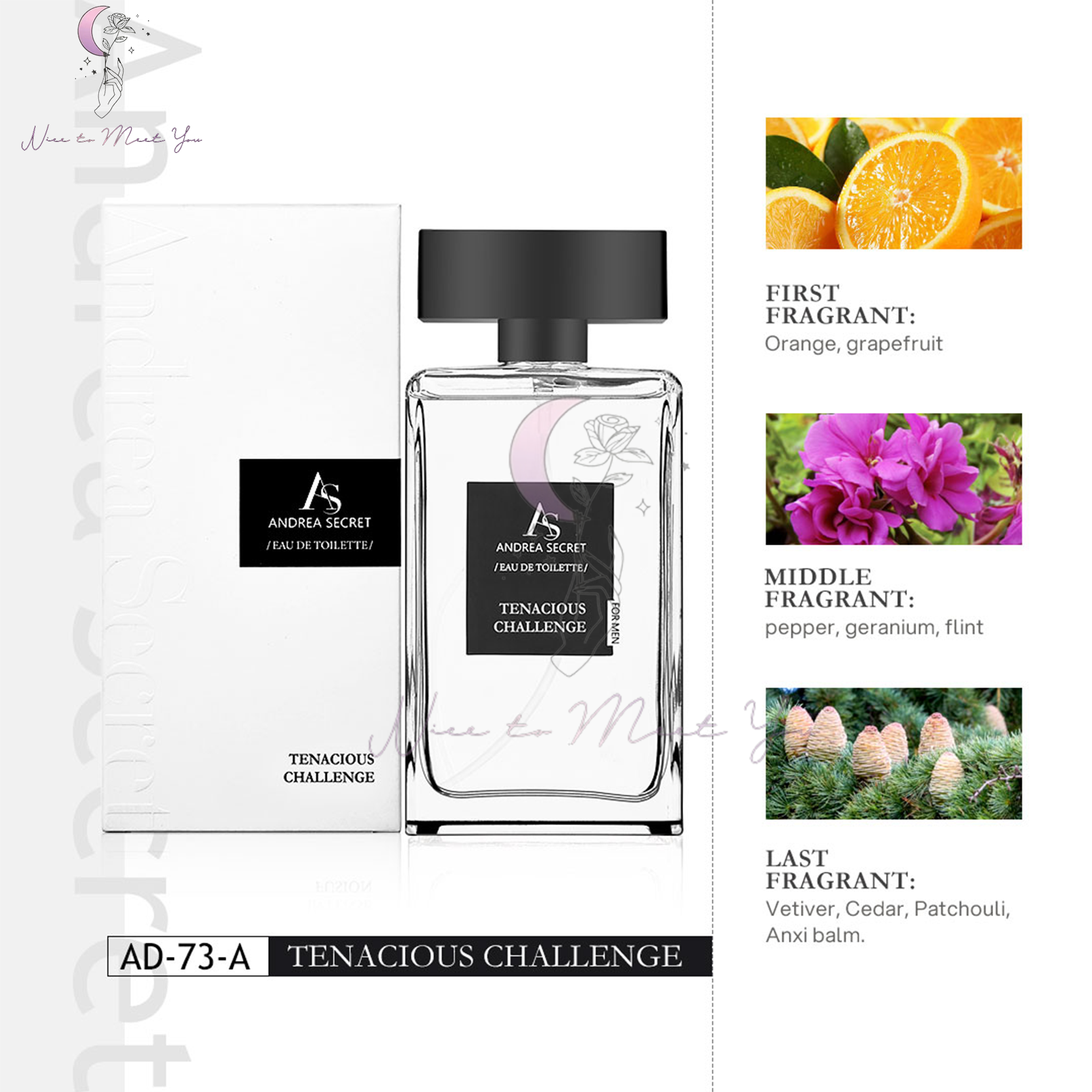 Andrea Secret Perfume 100ml AD-73 For Man Lasts for 8 hours with ...