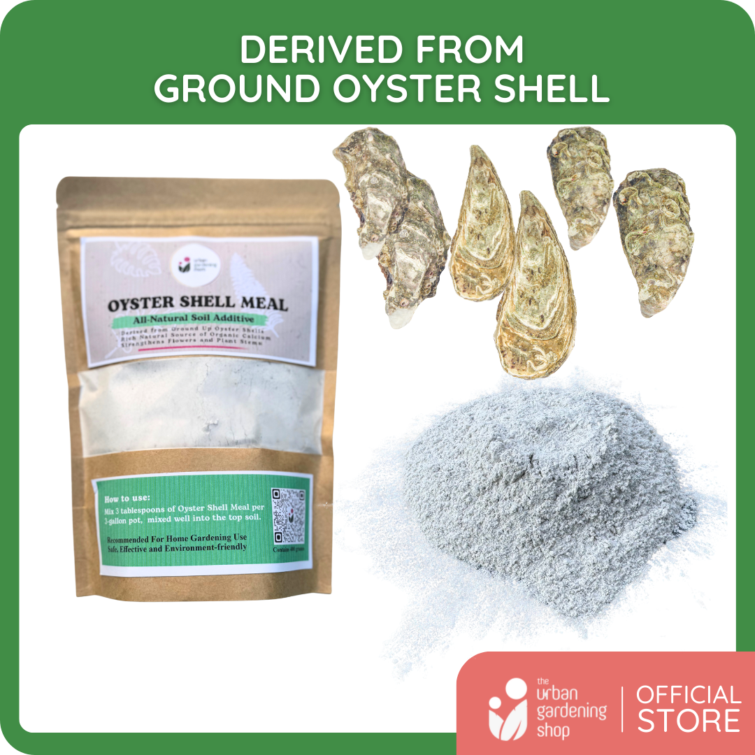 THE URBAN GARDENING SHOP Oyster Shell Meal Derived from Ground Oyster ...
