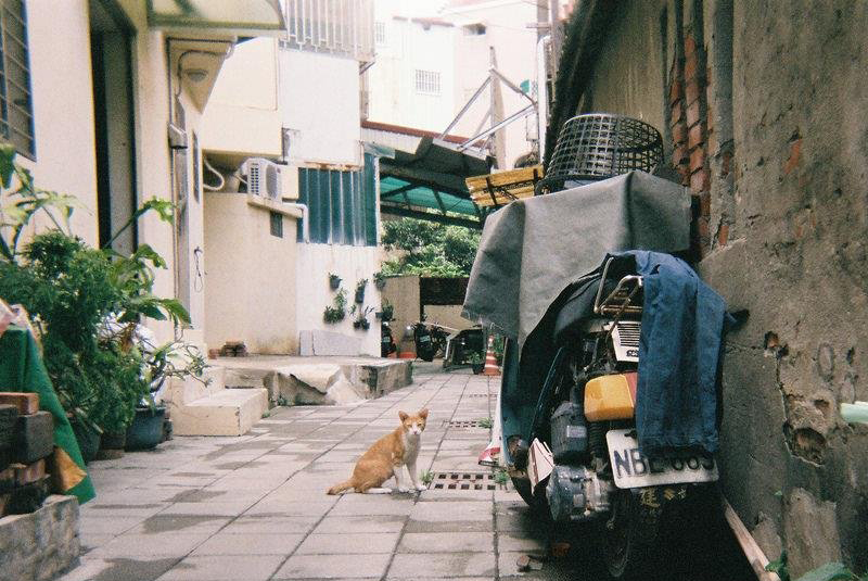 Fujifilm Simple Ace 27exp QuickSnap Camera | Shopee Philippines