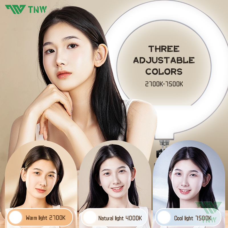 TNW 6/10 inch Ring Light Tripod Overhead Phone Mount Light For Overhead ...