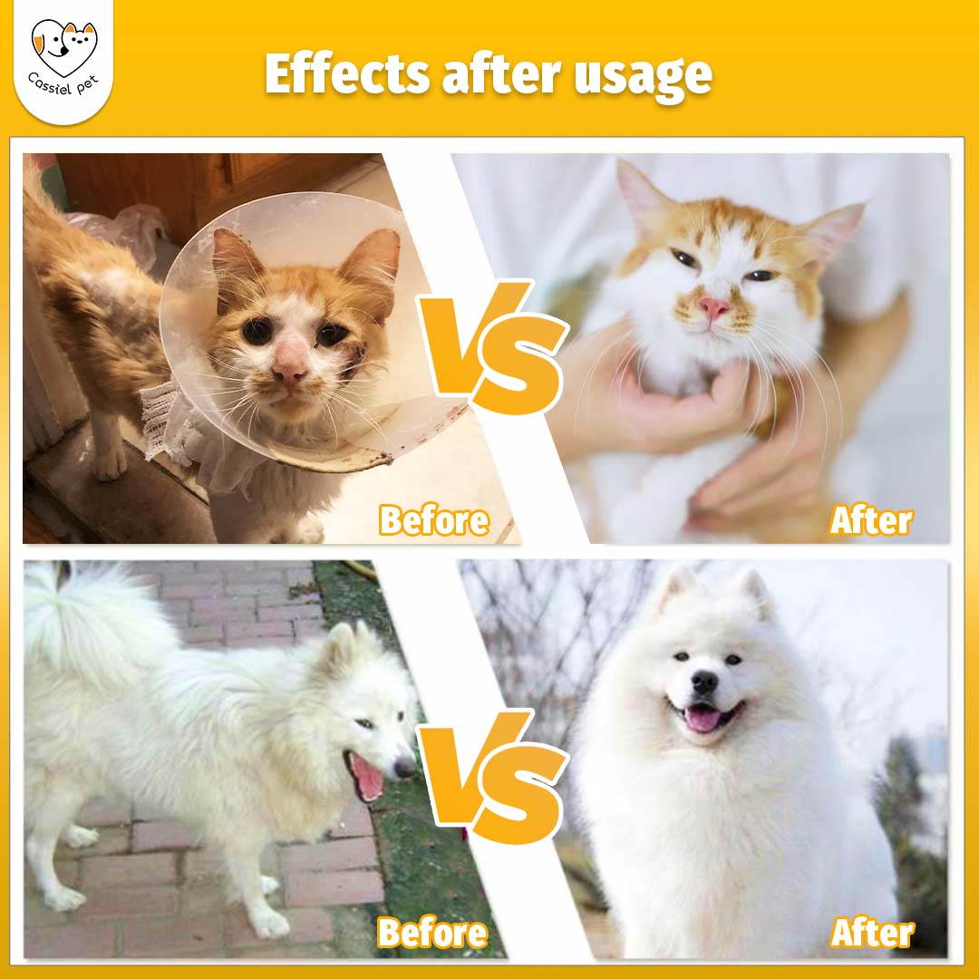 Cassiel Pet Nutri Plus Gel, Nutrich, Vitamins And Supplement For ...