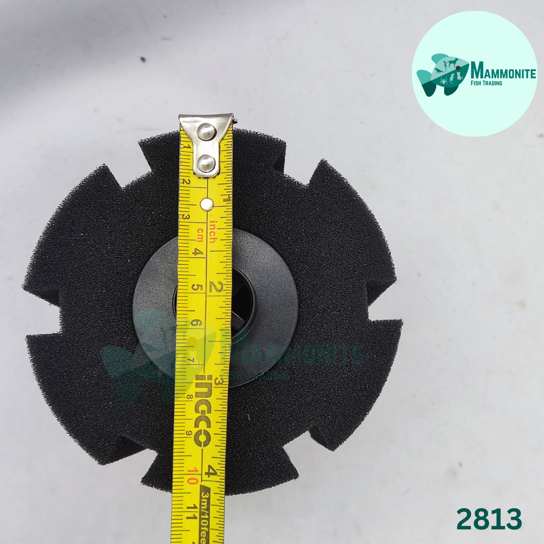 Bio Sponge Filter XY 2813 11.3x10cm Aquarium Filtration Clean Water Fish Ornamental | Shopee ...
