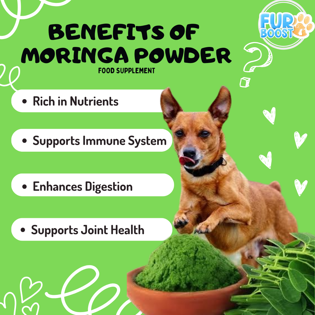 40g 100g Fur Boost Furboost Moringa Powder Pet All Stages Multivitamins ...