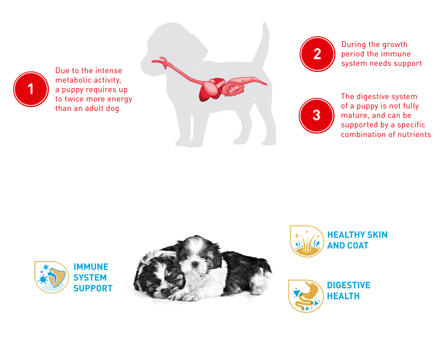 Royal Canin Shih Tzu Puppy 500g (FREE 1 RC Mini Puppy Wet 85g) Dry Dog ...