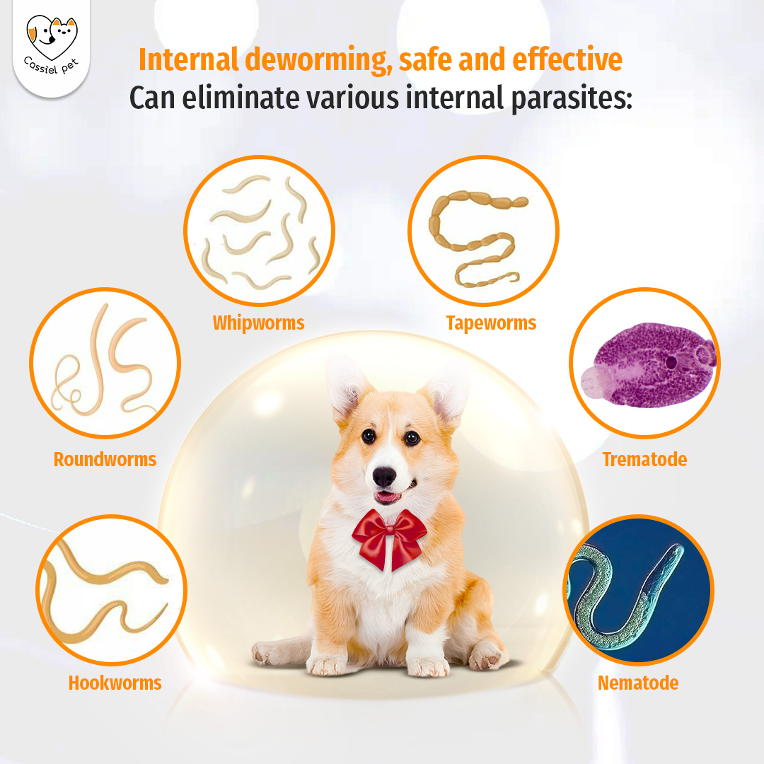 Cassiel Pet Chewable Tablet Anti Tick And Flea Dewormer For Dogs Puppy ...