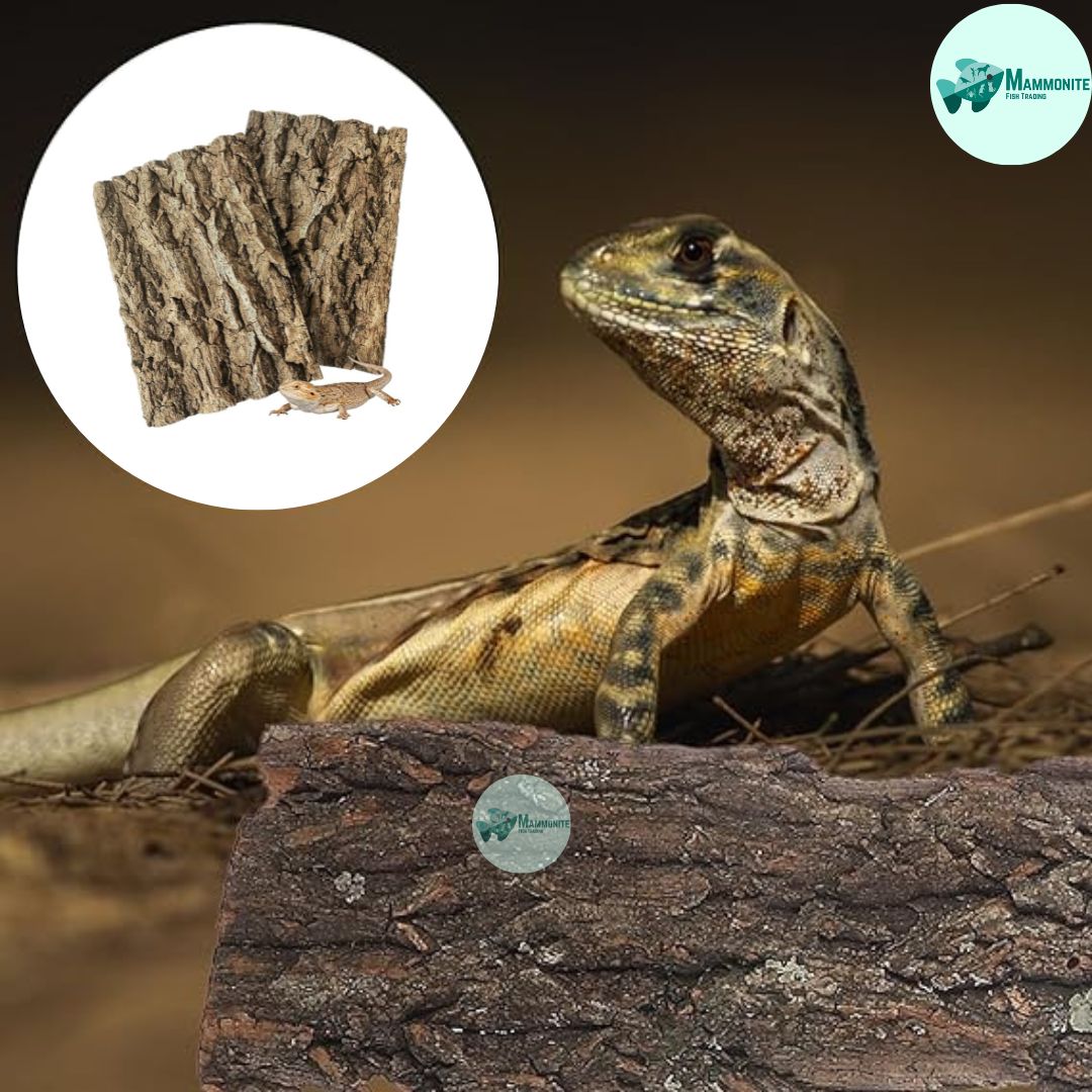 Reptile Cork Bark Natural Cork Bark Tarantula Hideout log 15 cm x 20 cm ...