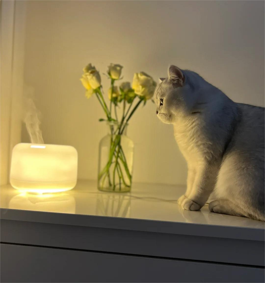 500ML Ultrasonic Humidifier Air Humidifier Anti-Burn Aroma Diffuser ...