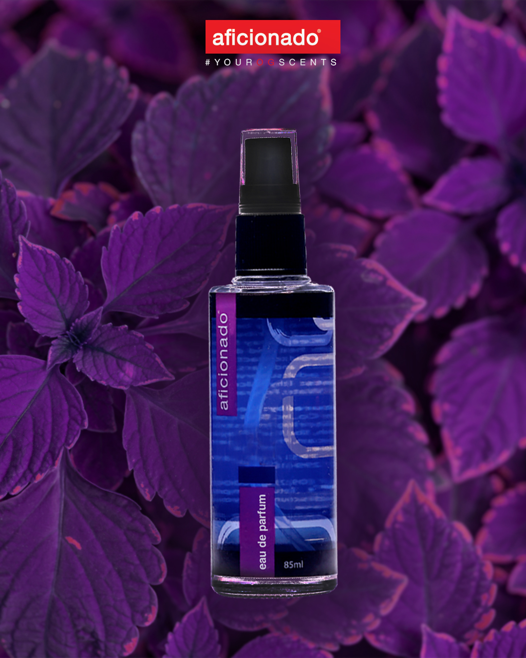 Aficionado F61 Eau De Parfum For Men | Shopee Philippines