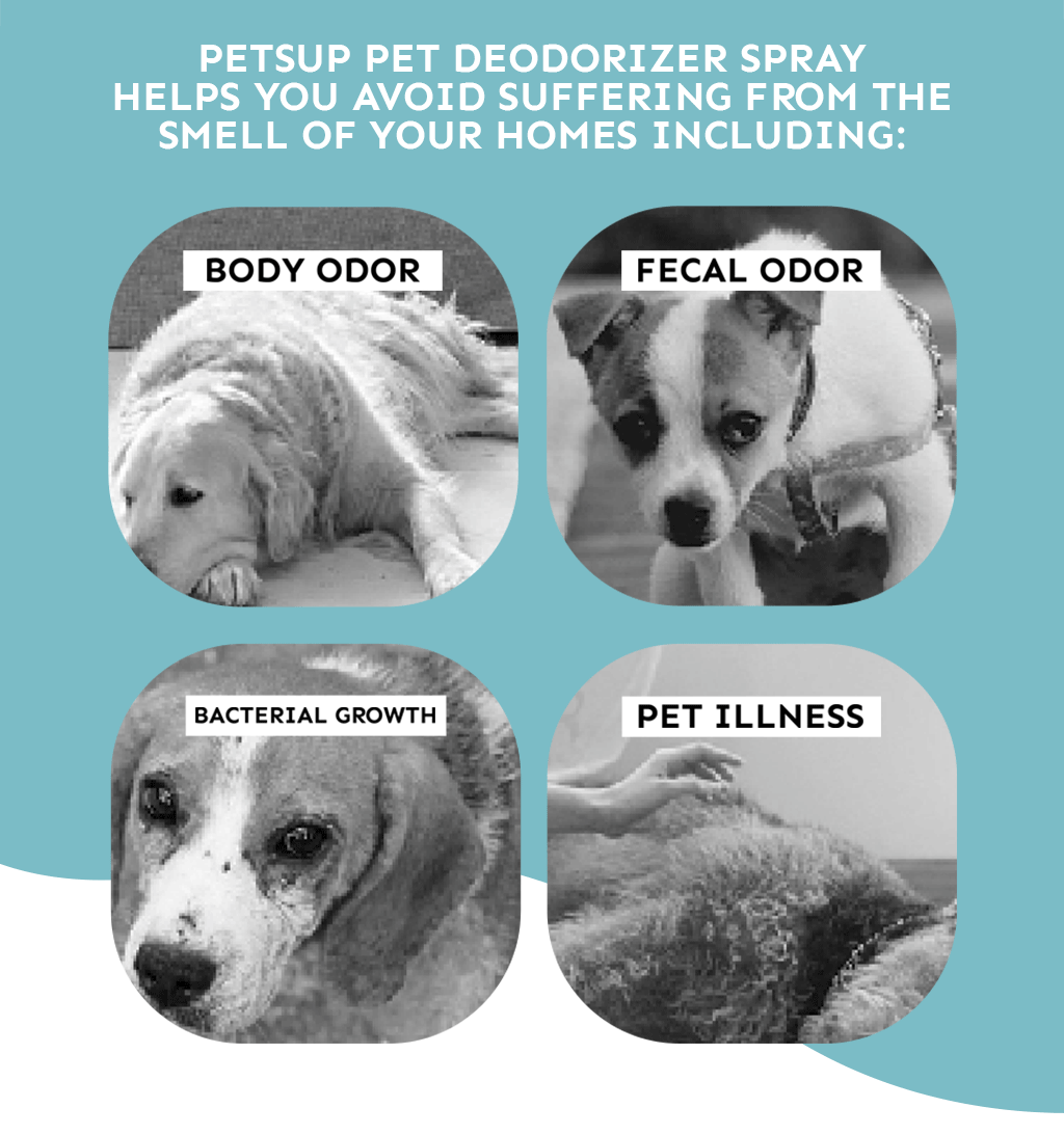 Petsup Pet Deodorizer Spray 500ml Odor Eliminator Disinfectant Safe for ...