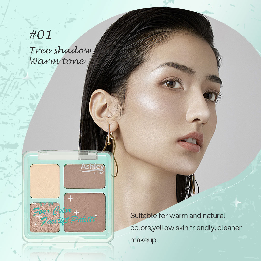 Ashley Shine Face Highlighting & Contouring waterproof natural Long ...