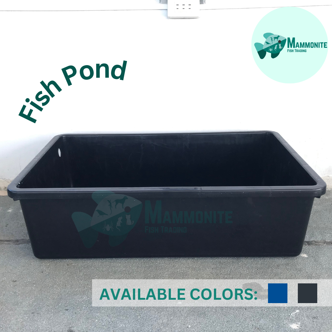 Plastic Fish Pond / Plastic Fish Tub / L1061 / L1060 / L1059 / L1058 ...