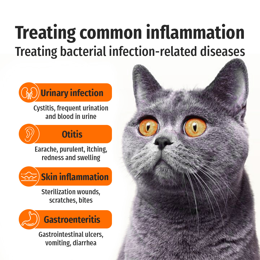 CASSIEL PET Anti-Inflammatory Drugs For Skin Ulcers,Increased Ear ...