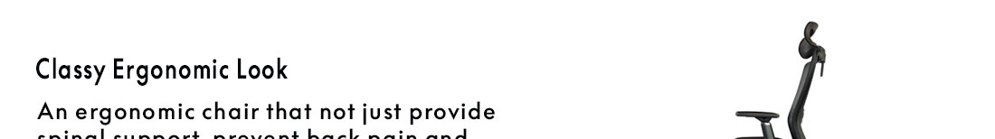 Aofeis PrimaChair MU Office Computer Chair Ergonomic Design Multi ...