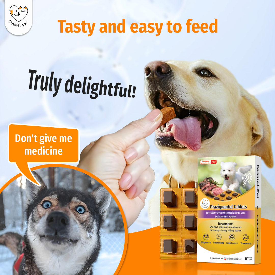 Cassiel Pet Chewable Tablet Anti Tick And Flea Dewormer For Dogs Puppy ...