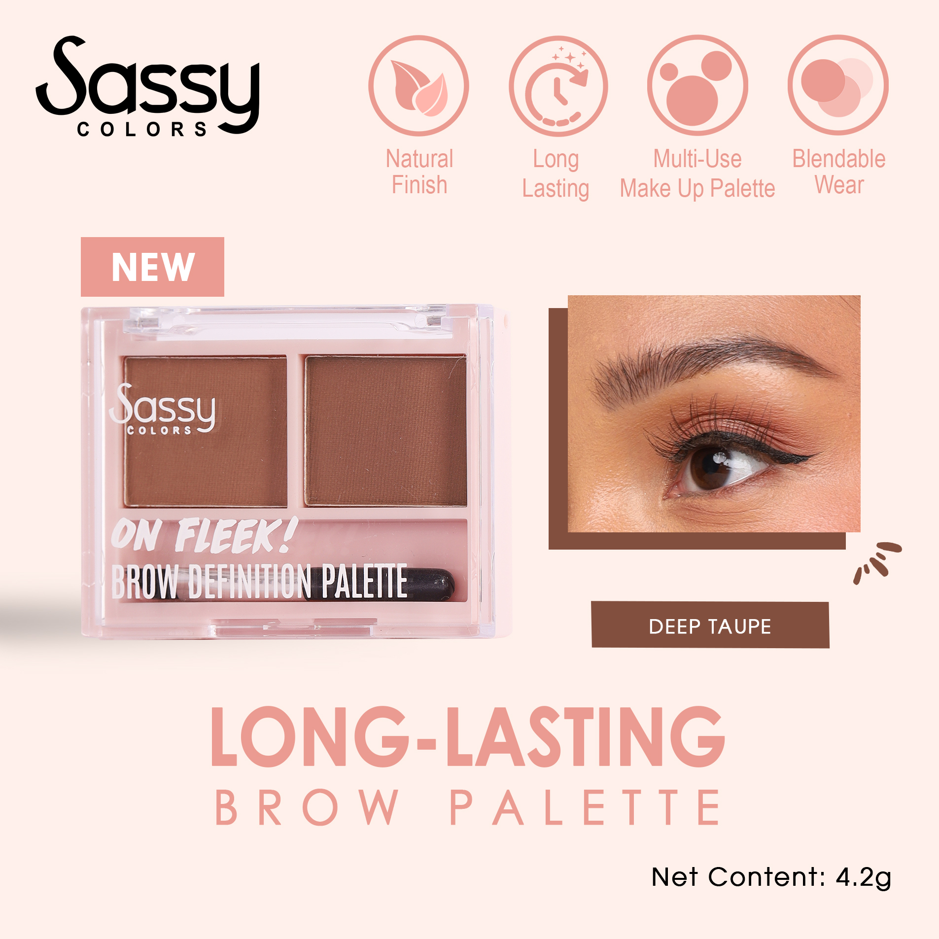 Sassy Colors On Fleek! Eyebrow Definition Palette | Shopee Philippines