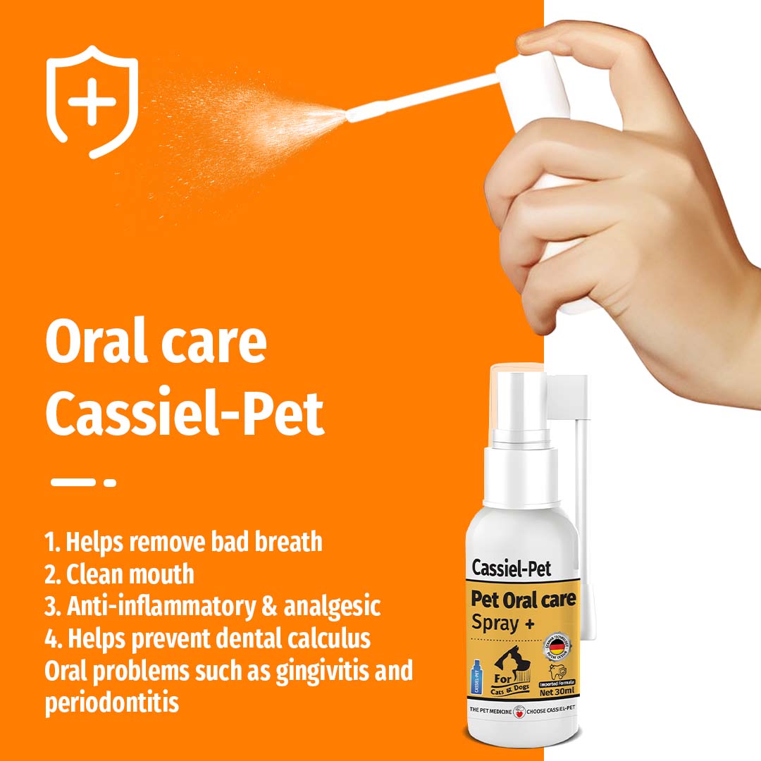 Cassiel Pet Mouth Spray For Bad Breath Mouth Ulcer Gums Inflammation ...