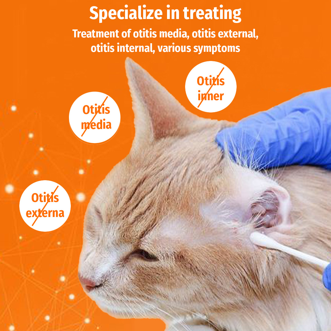 Cassiel Pet Ear Drops For Eliminate Ear Mites Treating Ear Canal Odor ...