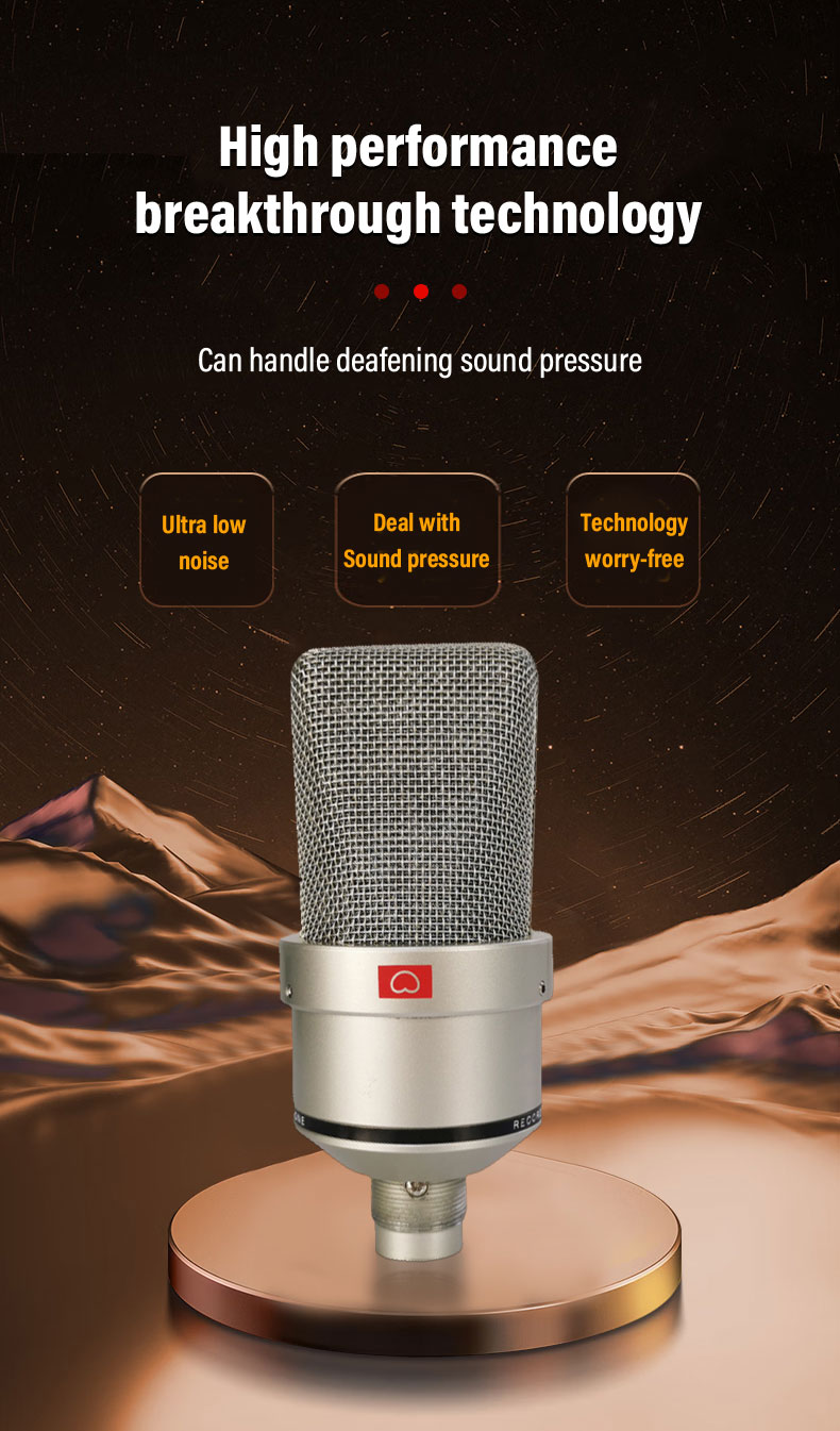 Koorfly U87 Professional Condenser Microphone 48V Large Diaphragm ...