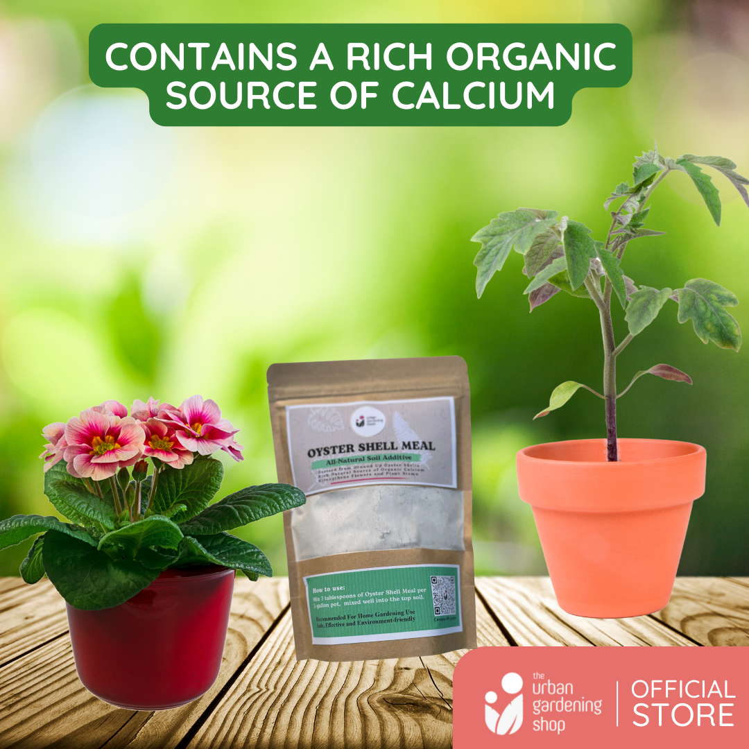 THE URBAN GARDENING SHOP Oyster Shell Meal Derived from Ground Oyster ...