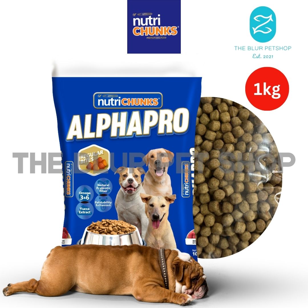 10kg NutriChunks Alpha Pro Regular Bites Puppy Bites All Stages Adult ...