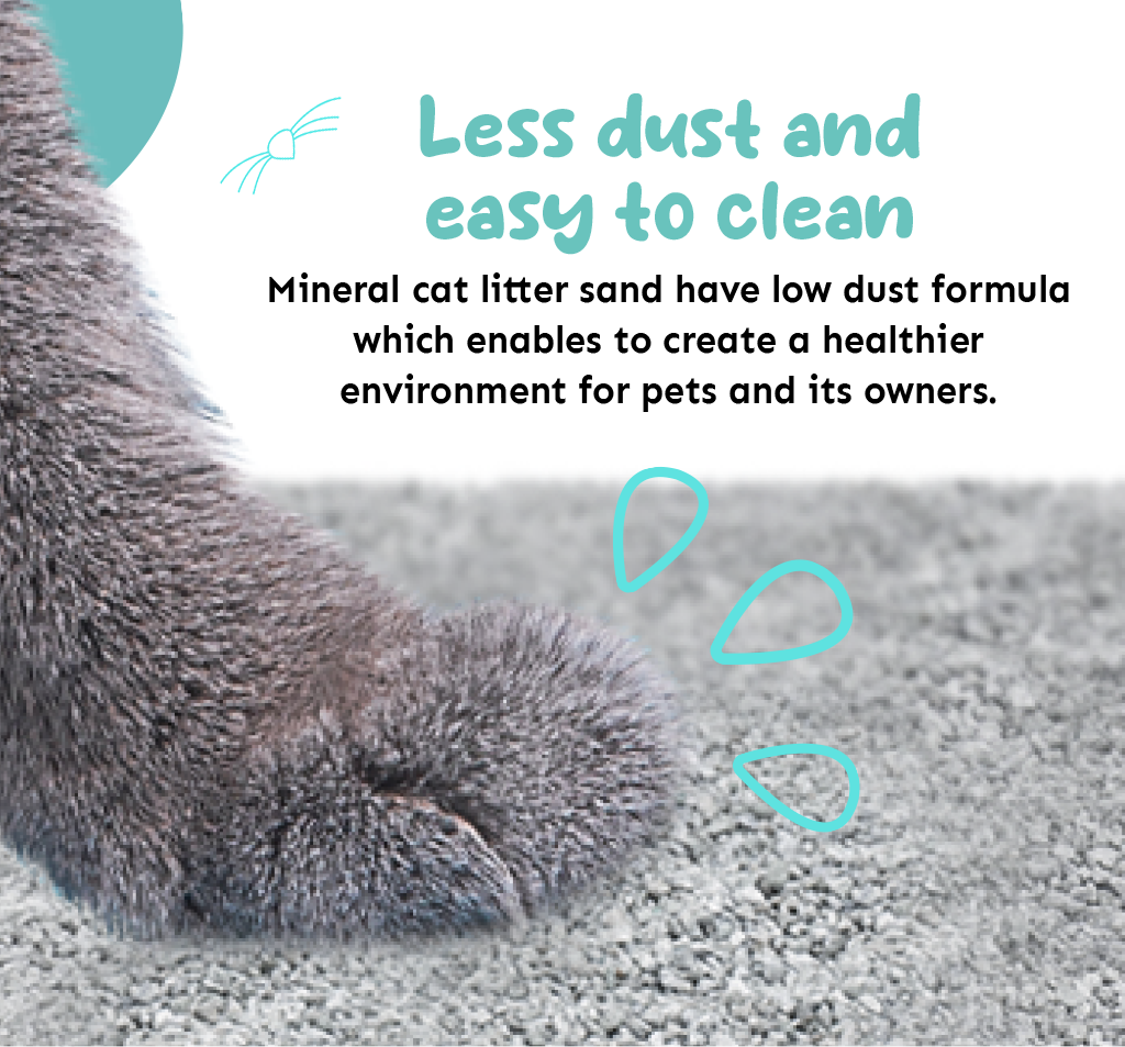 Petsup Cat Litter Sand with Mineral Bundle Ultra Premium Dust-Free Fast ...