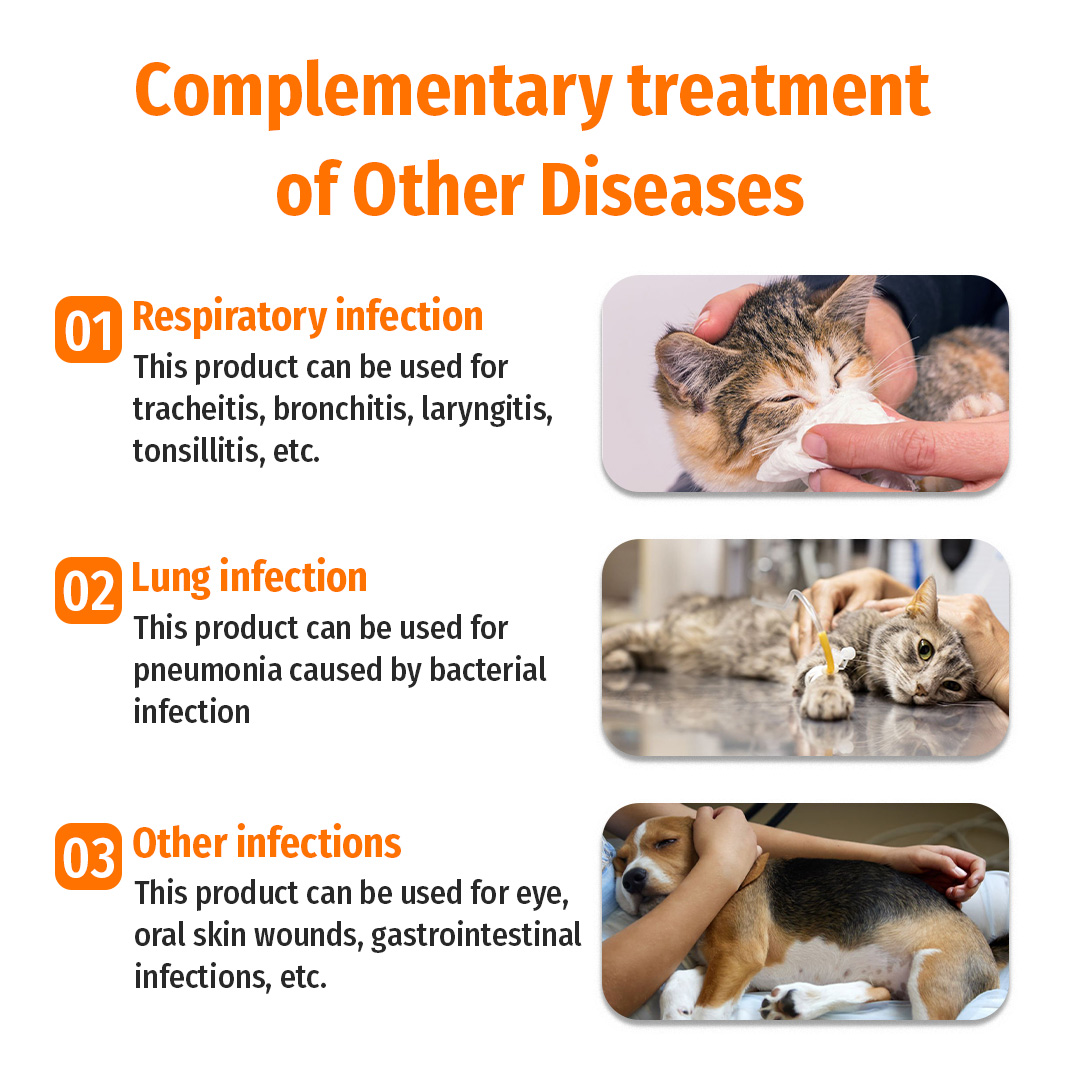 CASSIEL PET Anti-Inflammatory Drugs For Skin Ulcers,Increased Ear ...