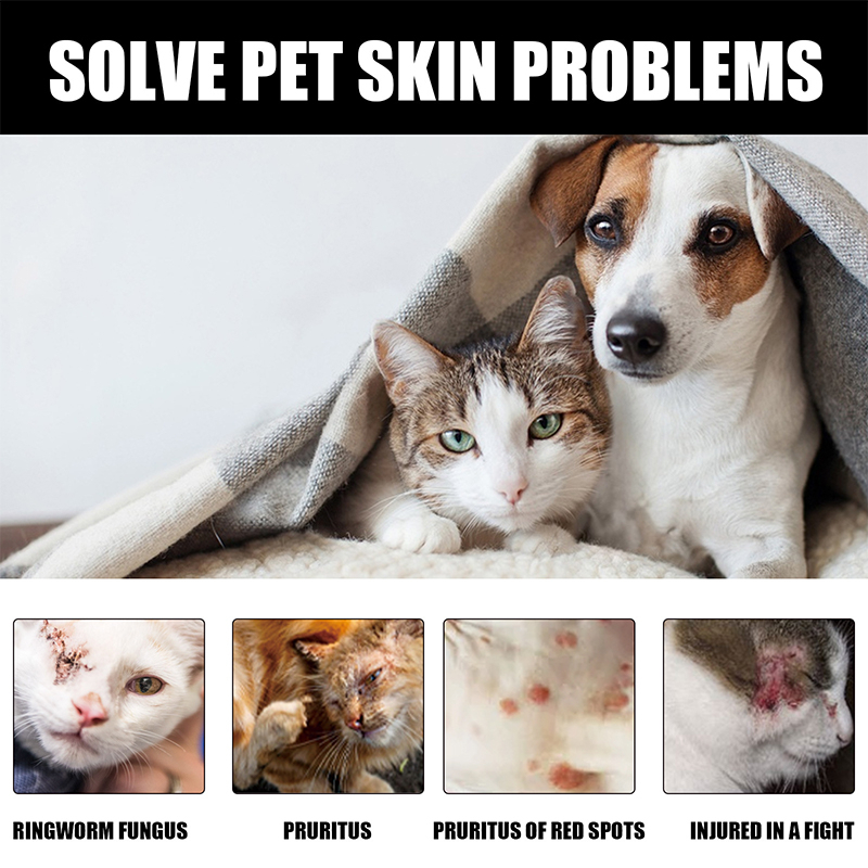 Wutuns Pet Skin Treatment For Cats Pet Anti Fungal Spray Cat Skin ...