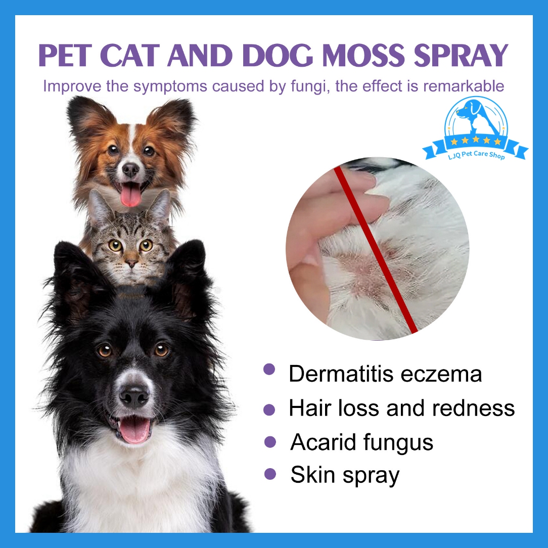 LJQ Pet Skin Spray 60ML Galis Ng Aso Gamot Antifungal Spray Dog and Cat ...