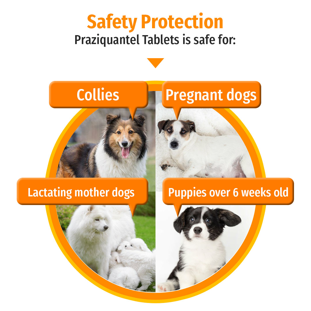 Cassiel Pet Deworming Chewable Tablets For Anti Tick And Flea Heartworm ...