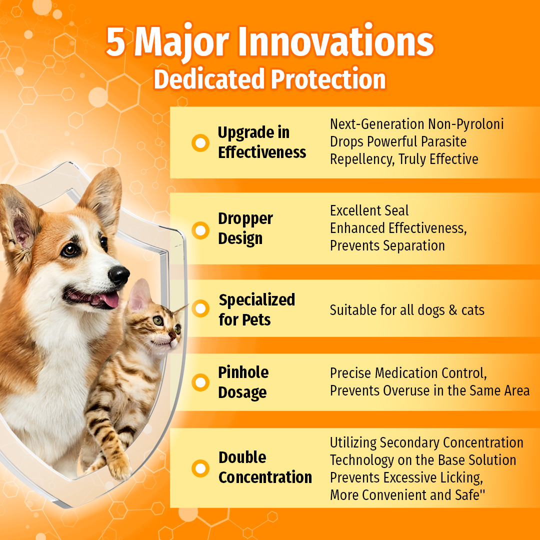 Cassiel Pet Fipronil Dewormer Anti Tick And Flea Spot Treatment Anti ...