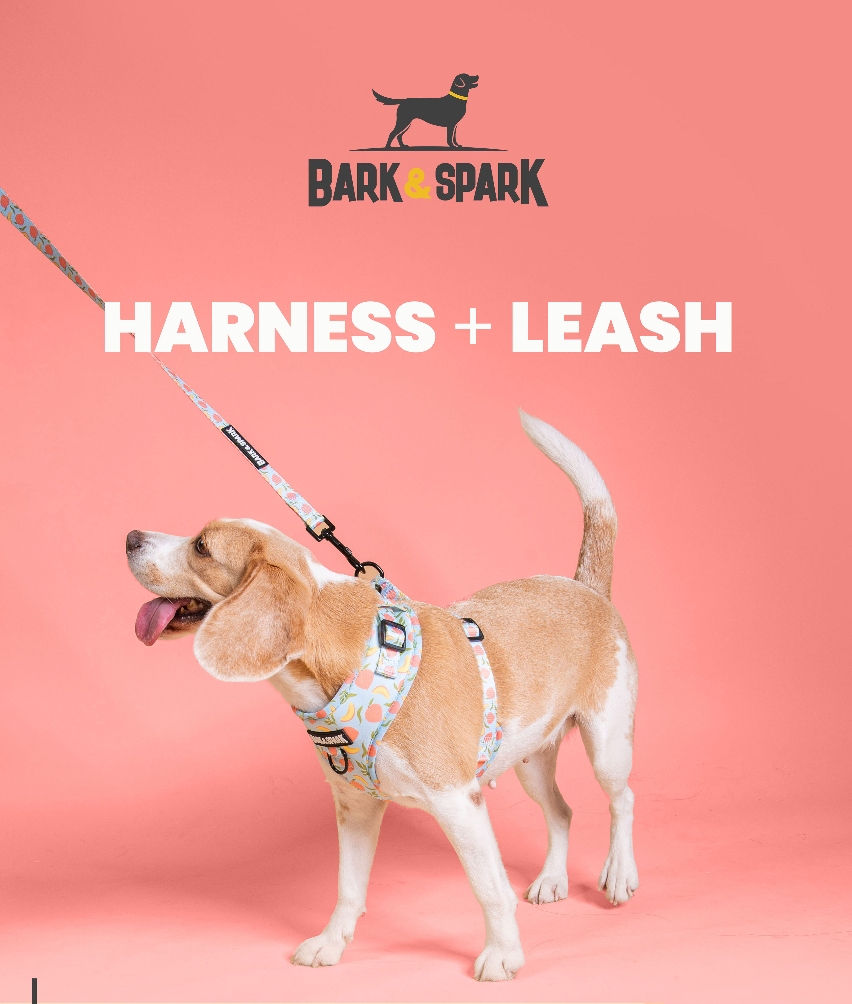 Bark & Spark Dog Harness and Leash Set - Soft and Durable Neoprene Air Mesh Material (XXS to XL ...