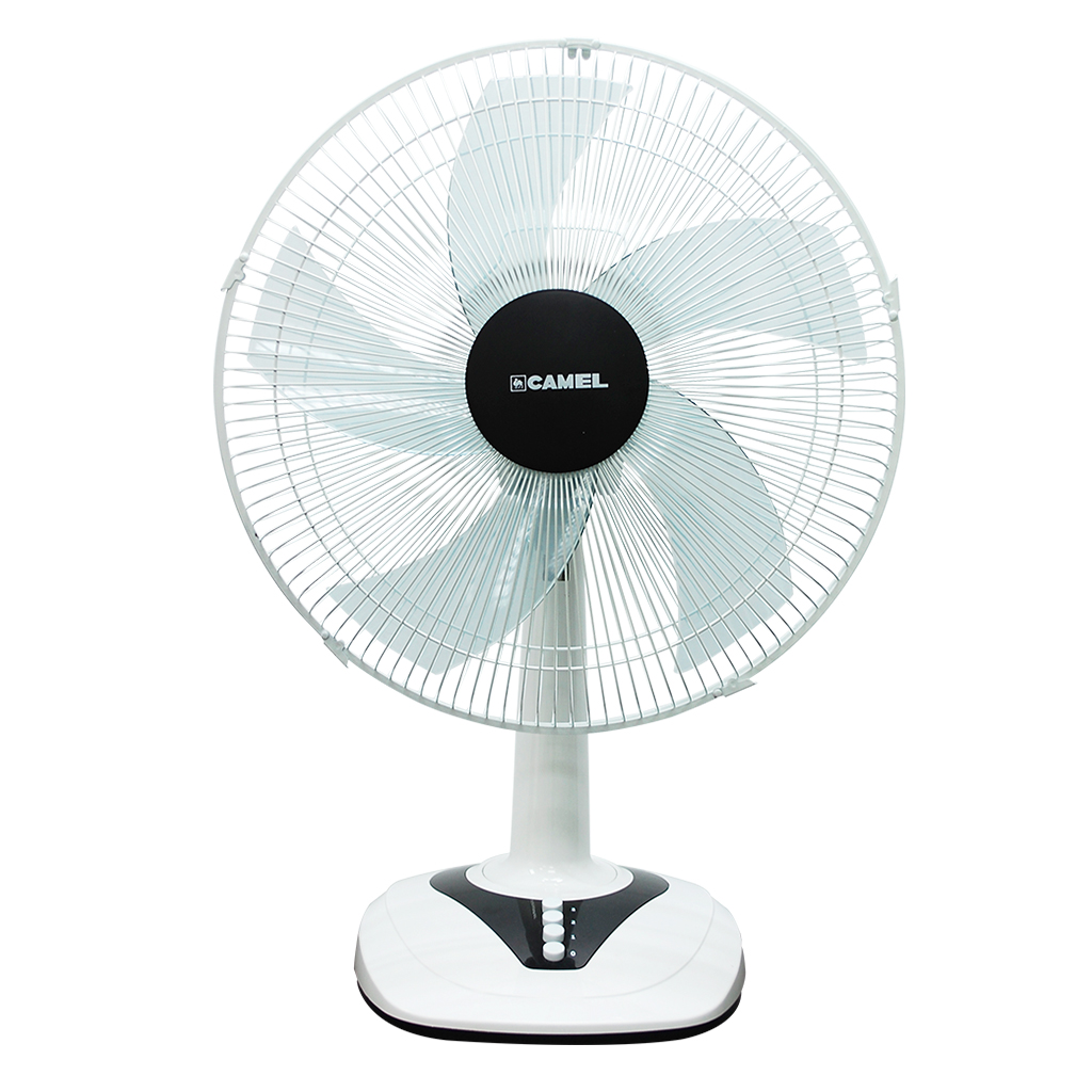 Camel by Winland 16 Inches Amihan Desk Fan Electric Fan CDF-1516C ...