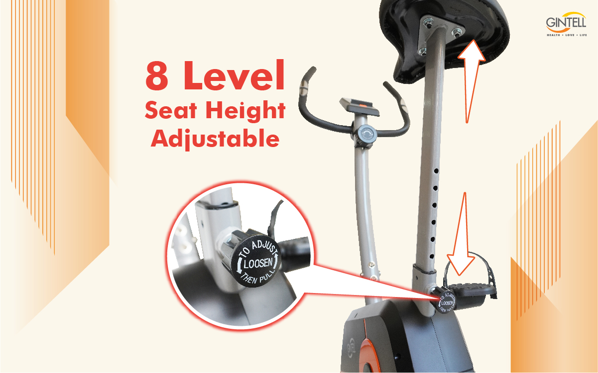 GINTELL AeroBike 4.0 Fitness Exercise Bike | Shopee Philippines