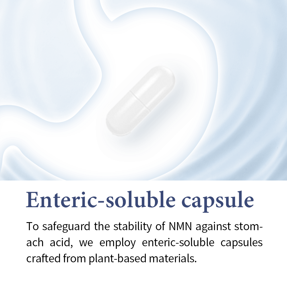 [Vitanad+] NMN 15000mg supplement (100% Vegan / Made in Japan / Direct ...