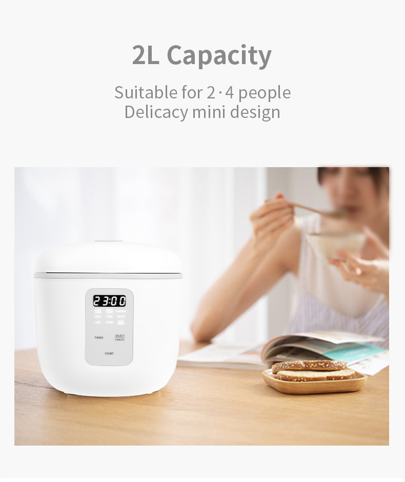 Simplus Electric Rice Cooker Non Stick With 24h Cooking Set 2L/3L Low ...