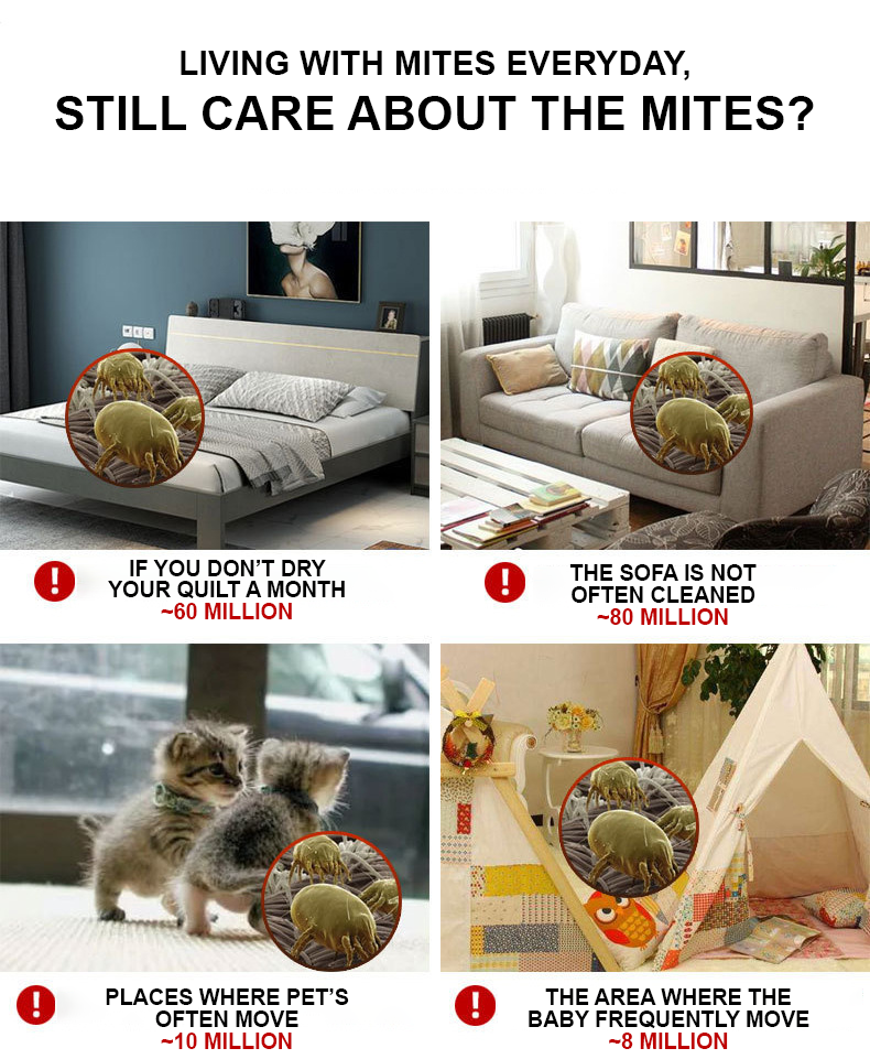Mite Spray Bed Bugs Killer Dust Mite Remove Spray Non-toxic Natural ...