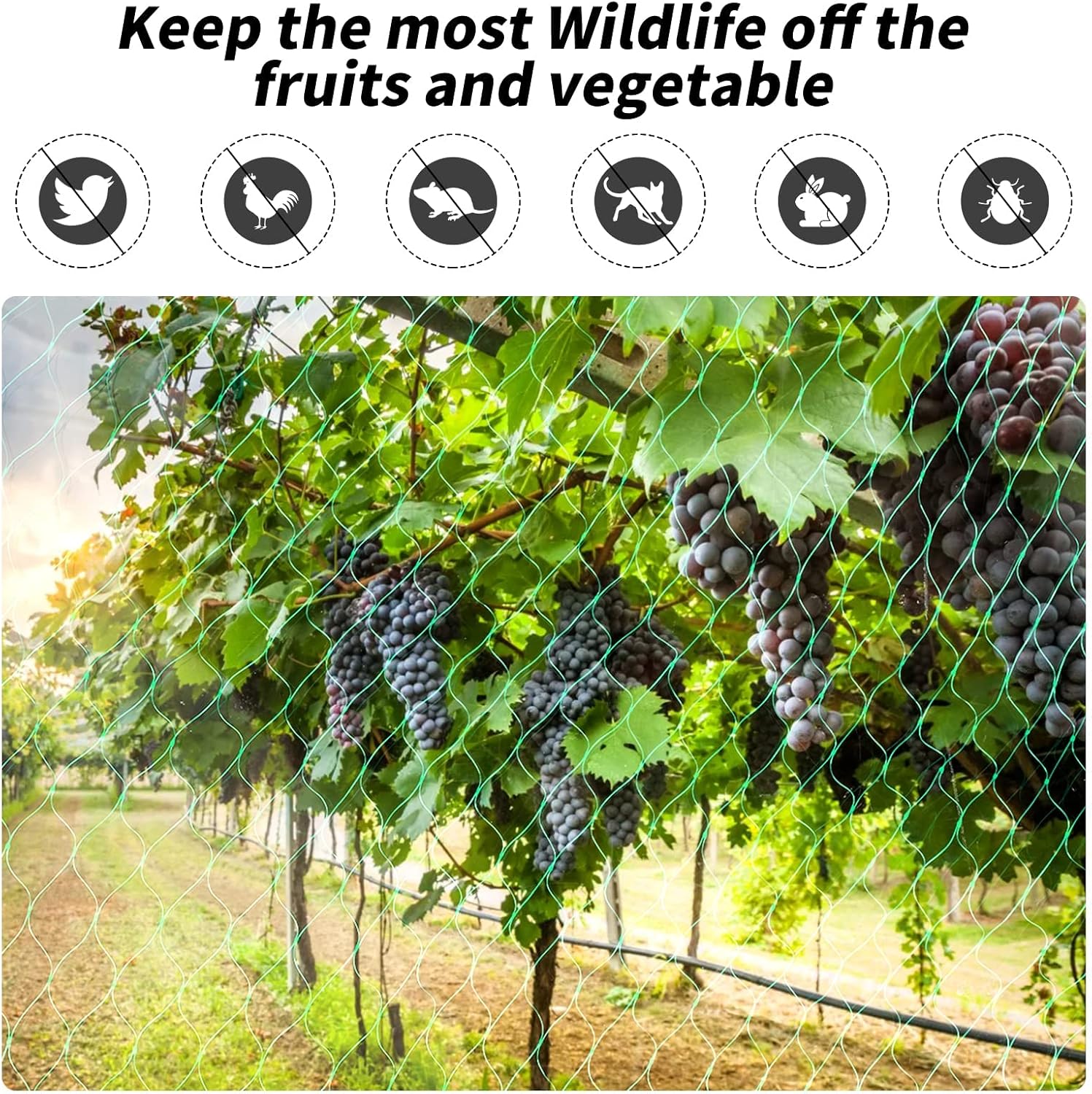 Smithson Range Net 5/10meters Chicken Net Lambat Fishnet Screen Fence ...