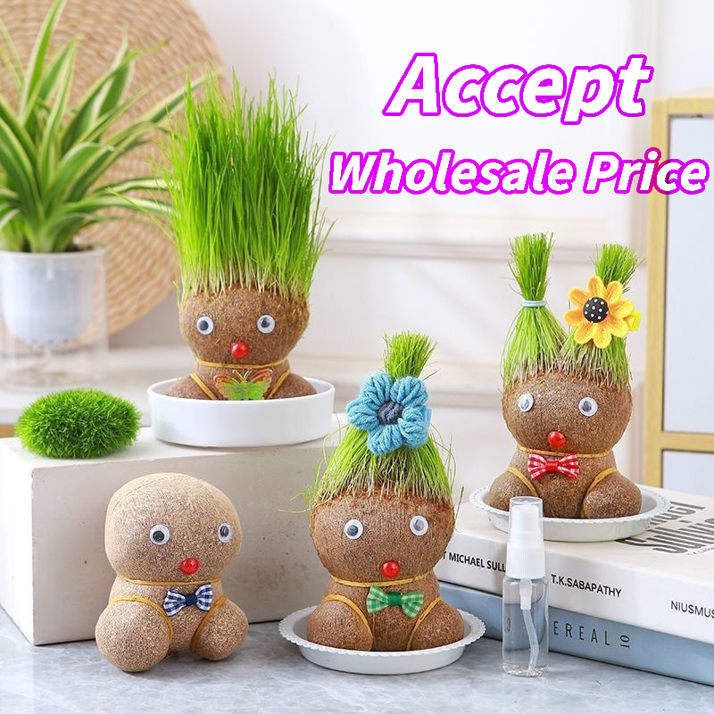 Desk Plant Decoration DIY Grass Head Doll Toy Growing Grass Head Doll ...