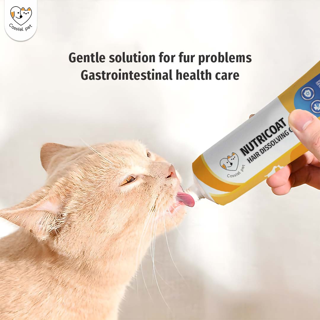 Cassiel Pet Nutri Plus Gel, Nutrich, Vitamins And Supplement For ...